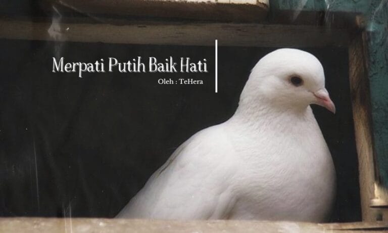 Merpati Putih Baik Hati
